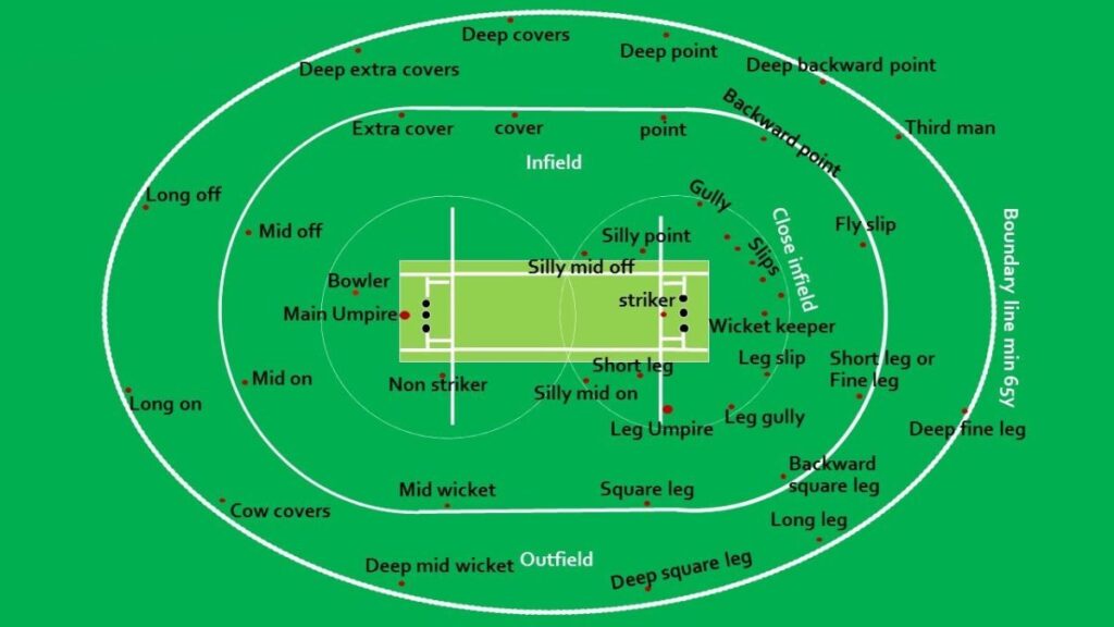 What Is Cricket? Origin, Dimensions, Positions, History, Teams, Bats, Balls