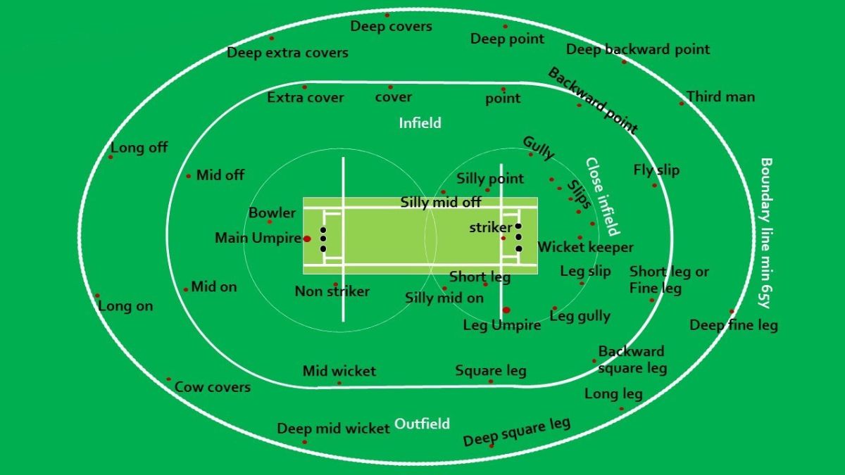 What Is Cricket? Origin, Dimensions, Positions, History, Teams, Bats, Balls