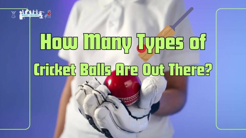 How Many Types of Cricket Balls Are Out There? | Red, White, Pink ...
